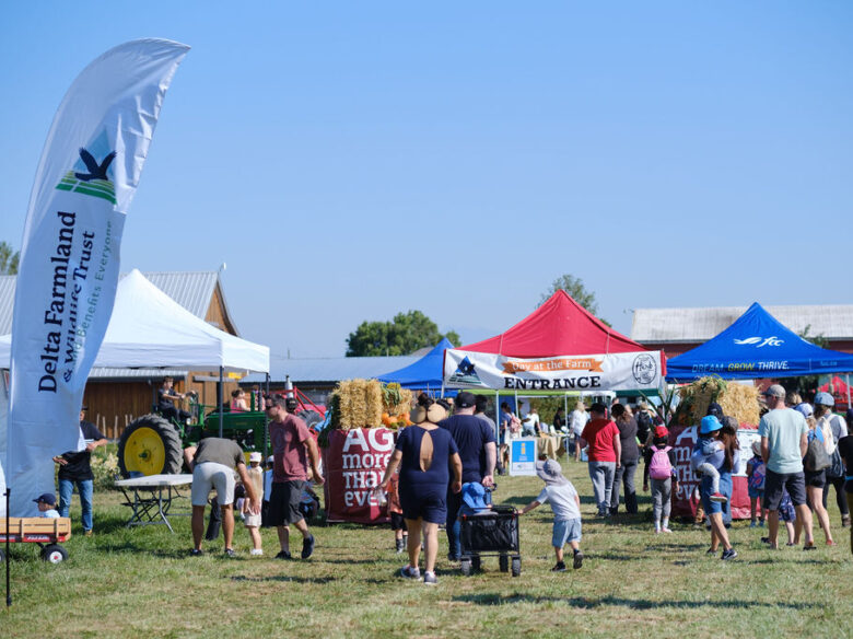 Day At The Farm - DELTA FARMLAND & WILDLIFE TRUST